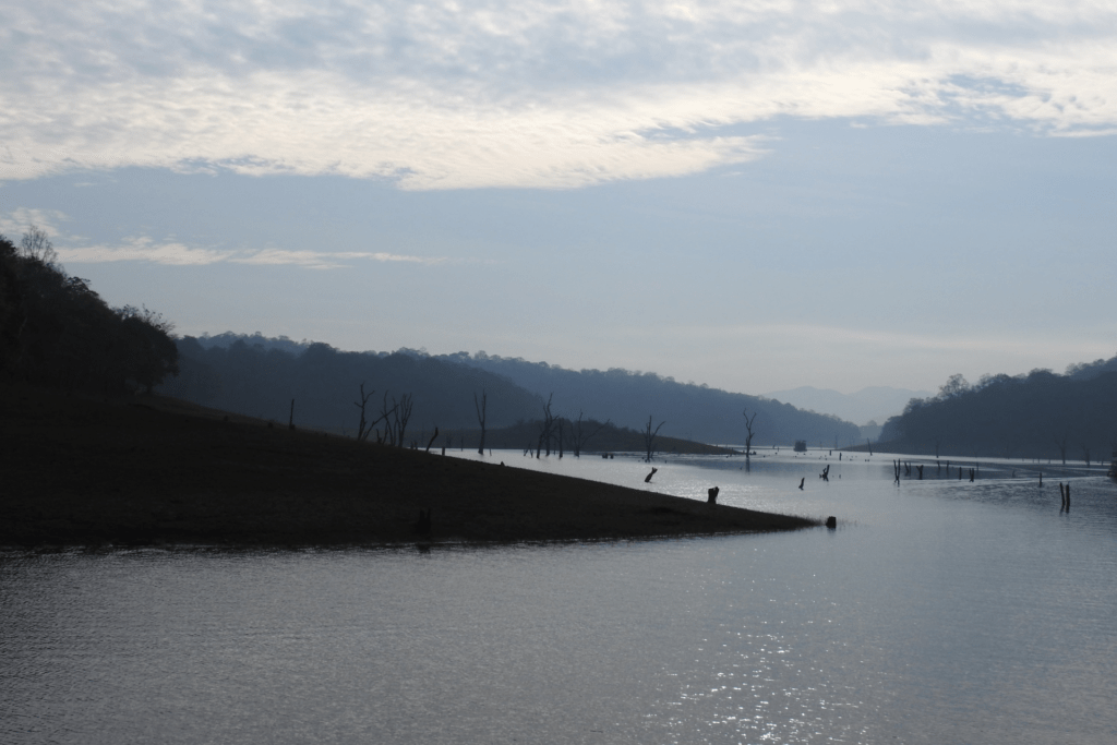 Kerala Tour package: Munnar-Thekkady-Alleppey-Kovalam