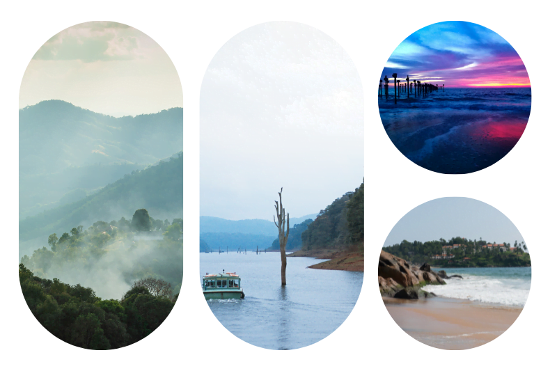 Best of Kerala: Munnar-Thekkady-Alleppey-Kovalam